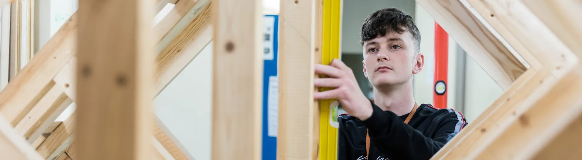 A Level Environmental Science | NSCG